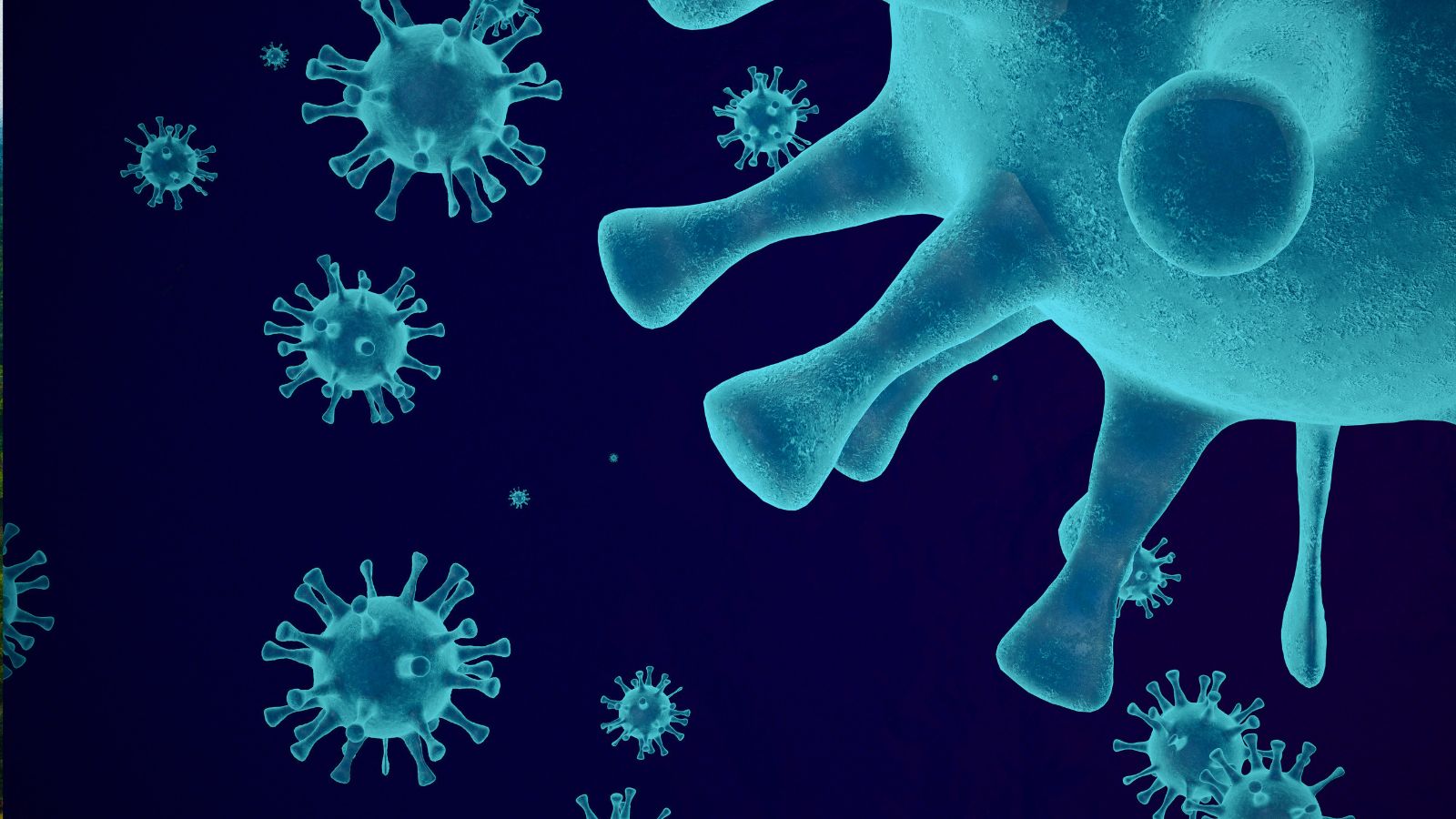 New study traces impact of COVID-19 pandemic on global movement and ...