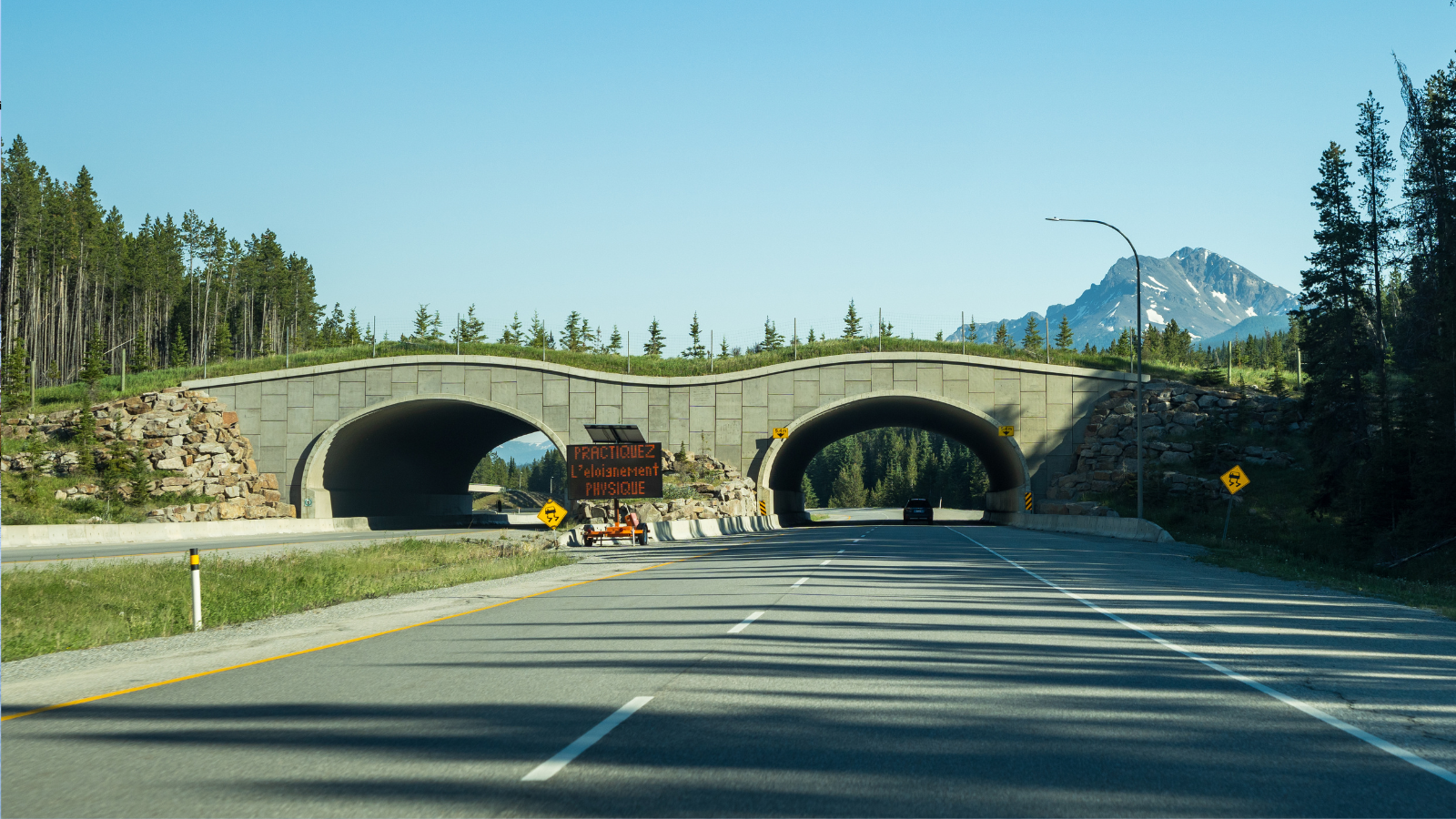 Reducing the risks of connecting wildlife habitats | Department of Biology