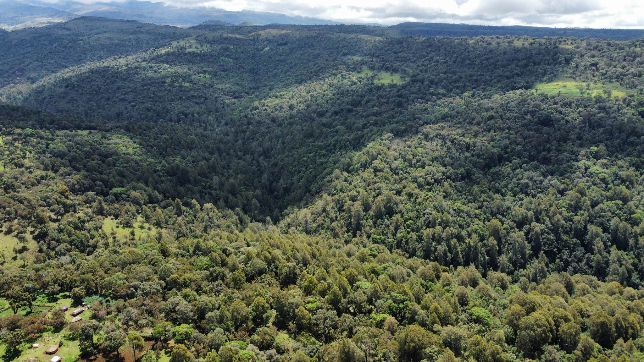 How can we advance rights-based conservation? | Department of Biology