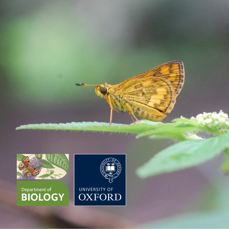 Department of Biology launches at the University of Oxford | Department ...