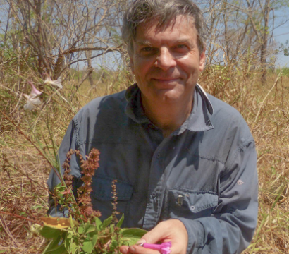 Dr Will Hawthorne | Department of Biology