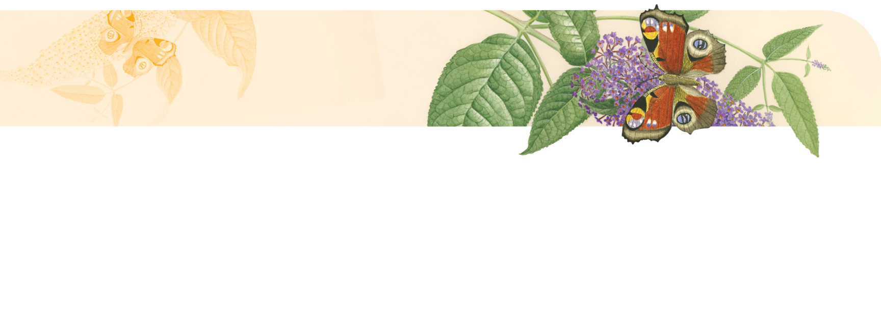 Male Reproductive Ageing | Department of Biology