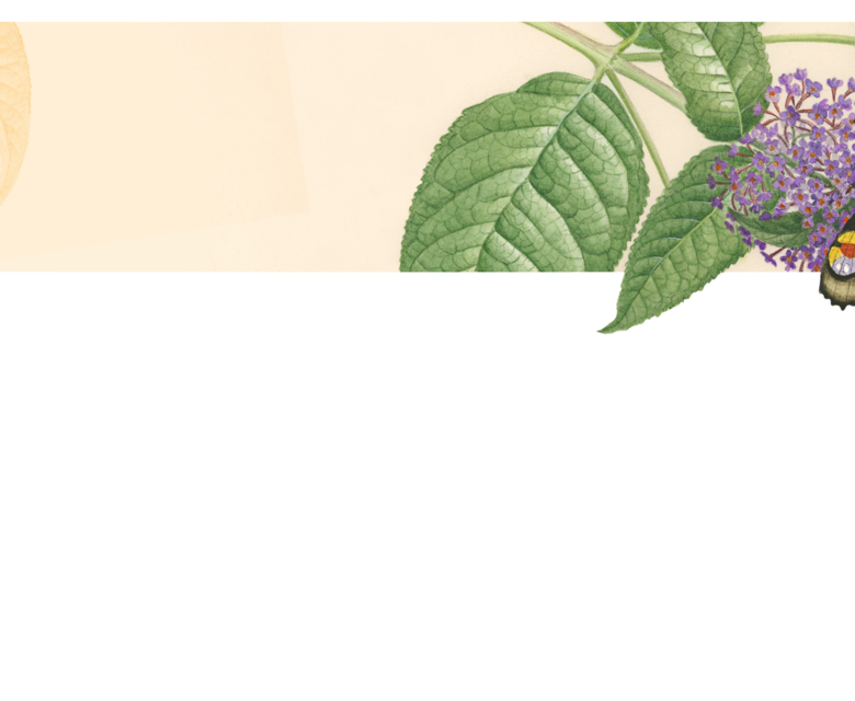 Spatial Cognition Department Of Biology