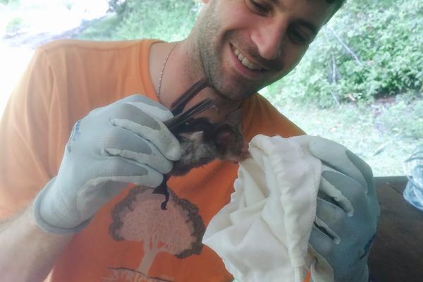 david hemprich bennett