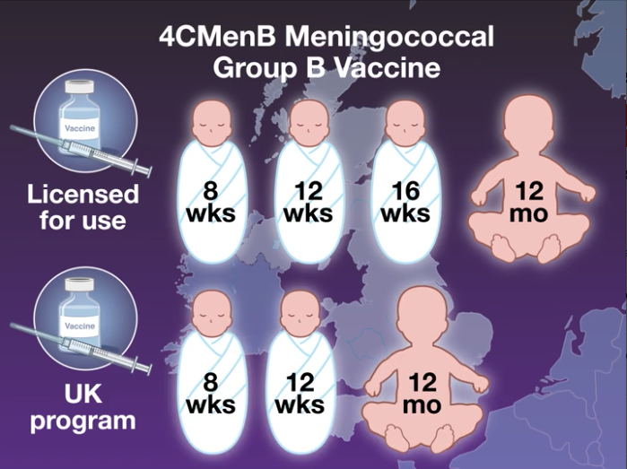 Meningococcal disease vaccines in the UK and Australia | Department of ...
