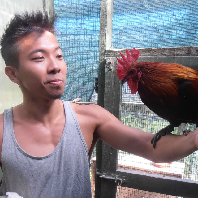 Dr Cedric Tan awarded Public Engagement with Research funding ...